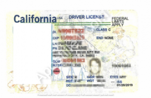Driver’s License - Online Apostille Services